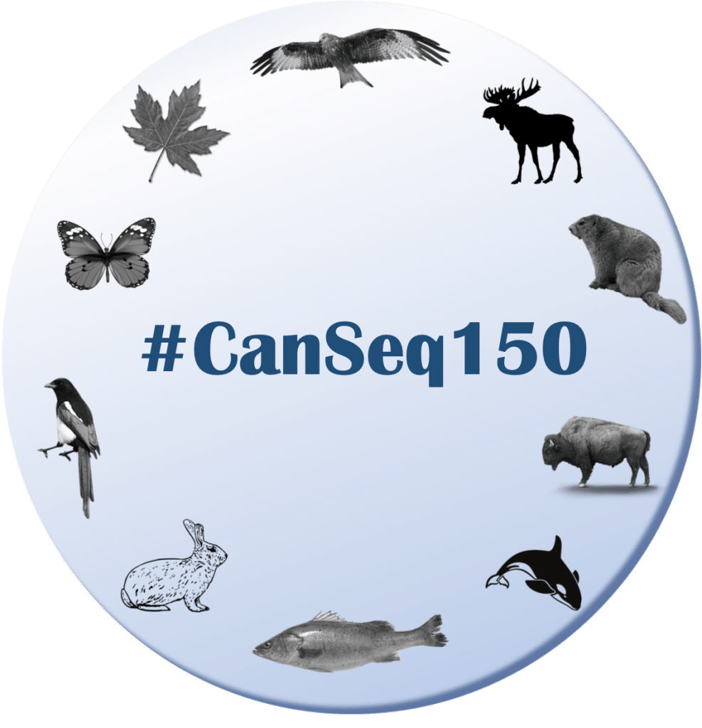 CGEn Year in Review: Highlights of 2019 - CGEn